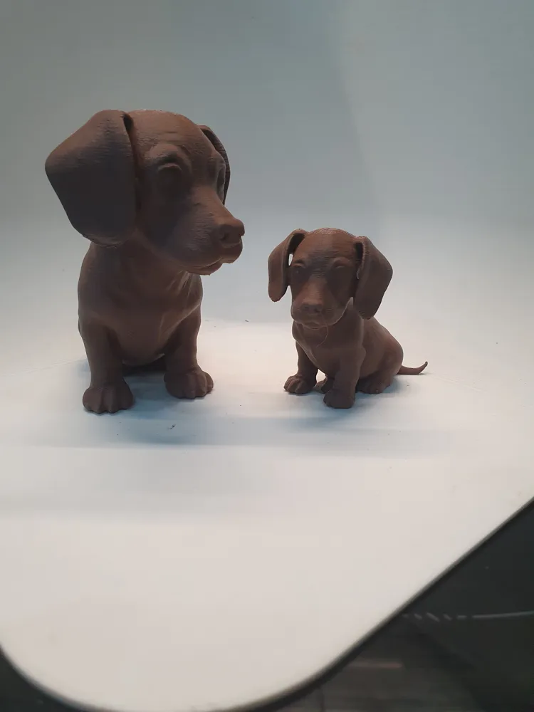 Cute Dackel Puppy by Staffbull_love MakerWorld: Download Free 3D Models