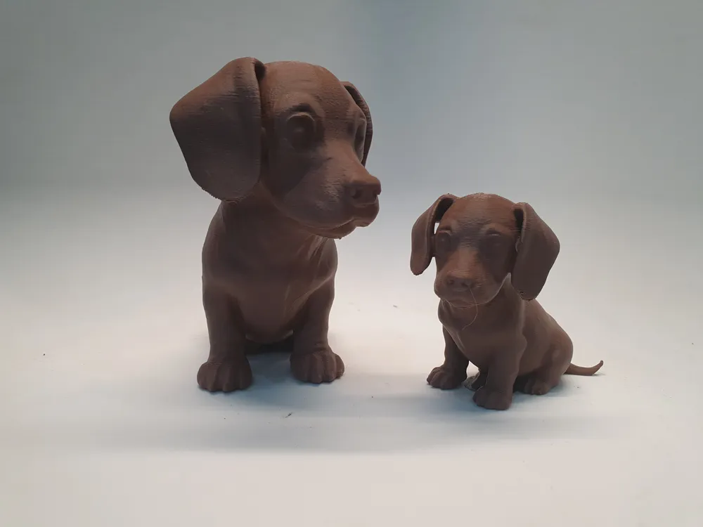 Cute Dackel Puppy by Staffbull_love MakerWorld: Download Free 3D Models