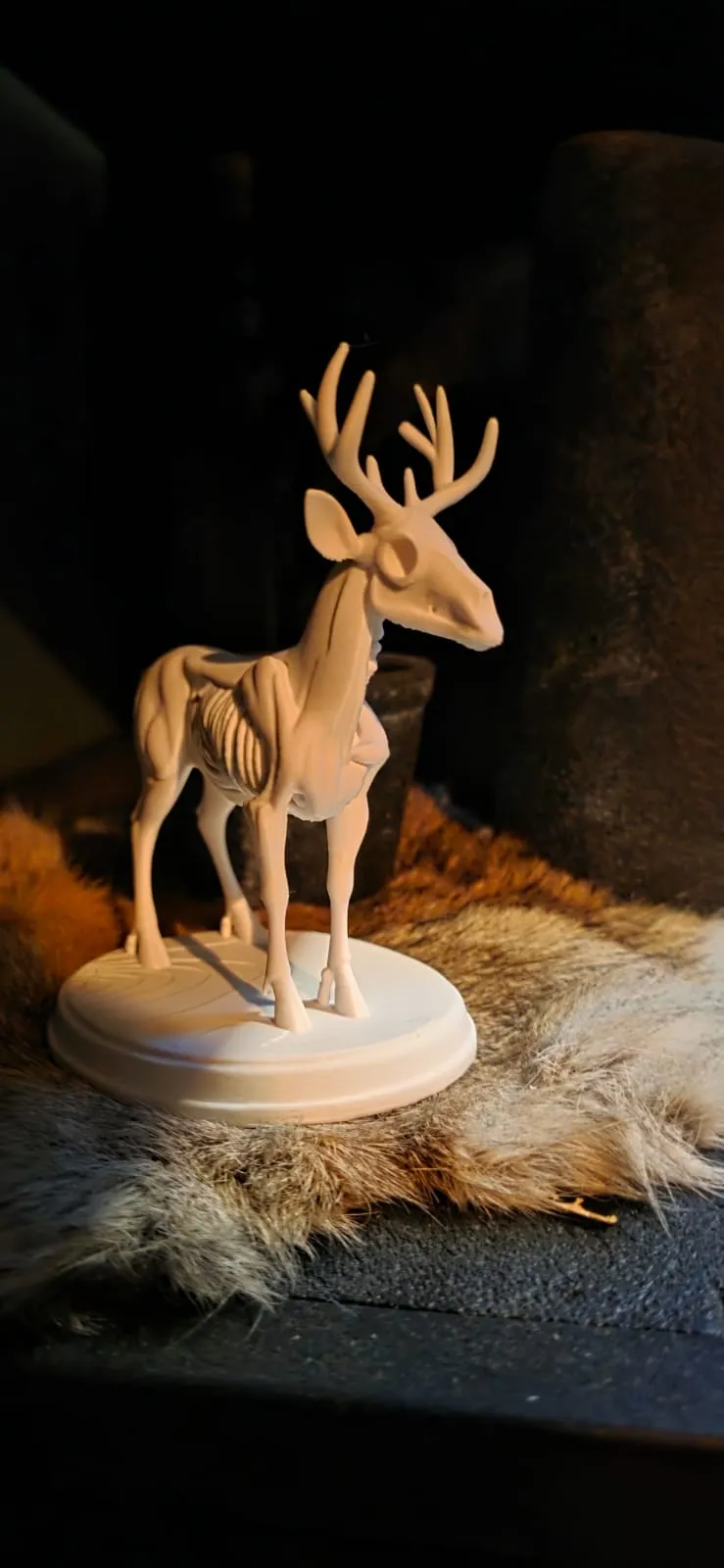 The Cursed Reindeer (made by AI) by cabinet of curiosities MakerWorld ...