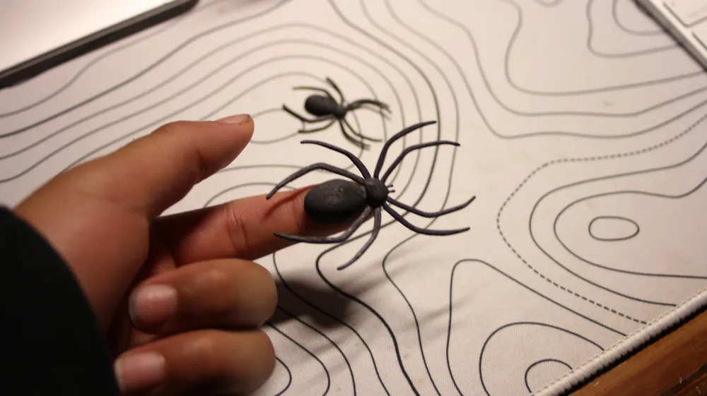 Realistic Spider - 2 Sizes - Free 3D Print Model - MakerWorld