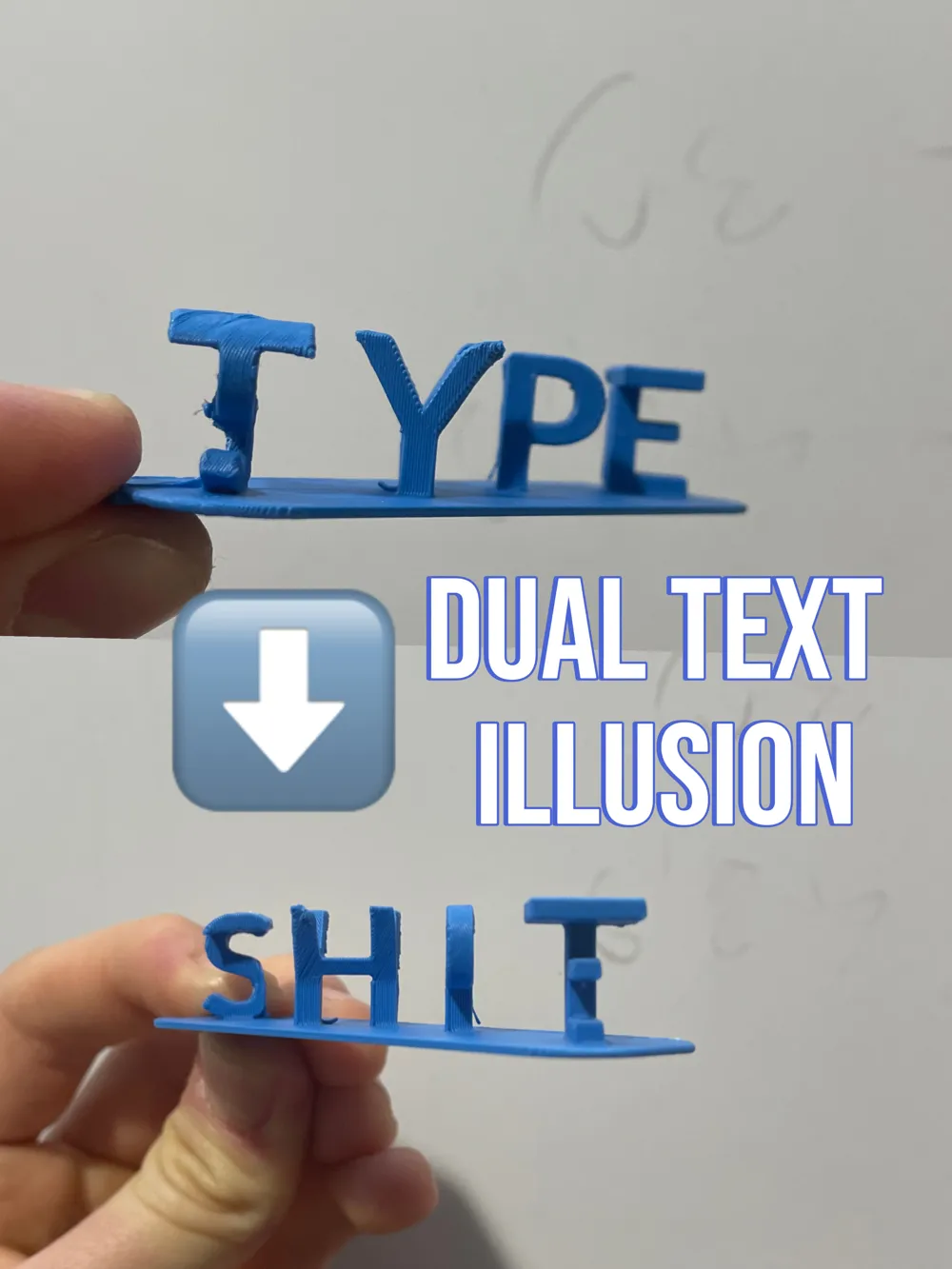 TYPE SHIT DUAL TEXT ILLUSION by Primaro_printing - MakerWorld