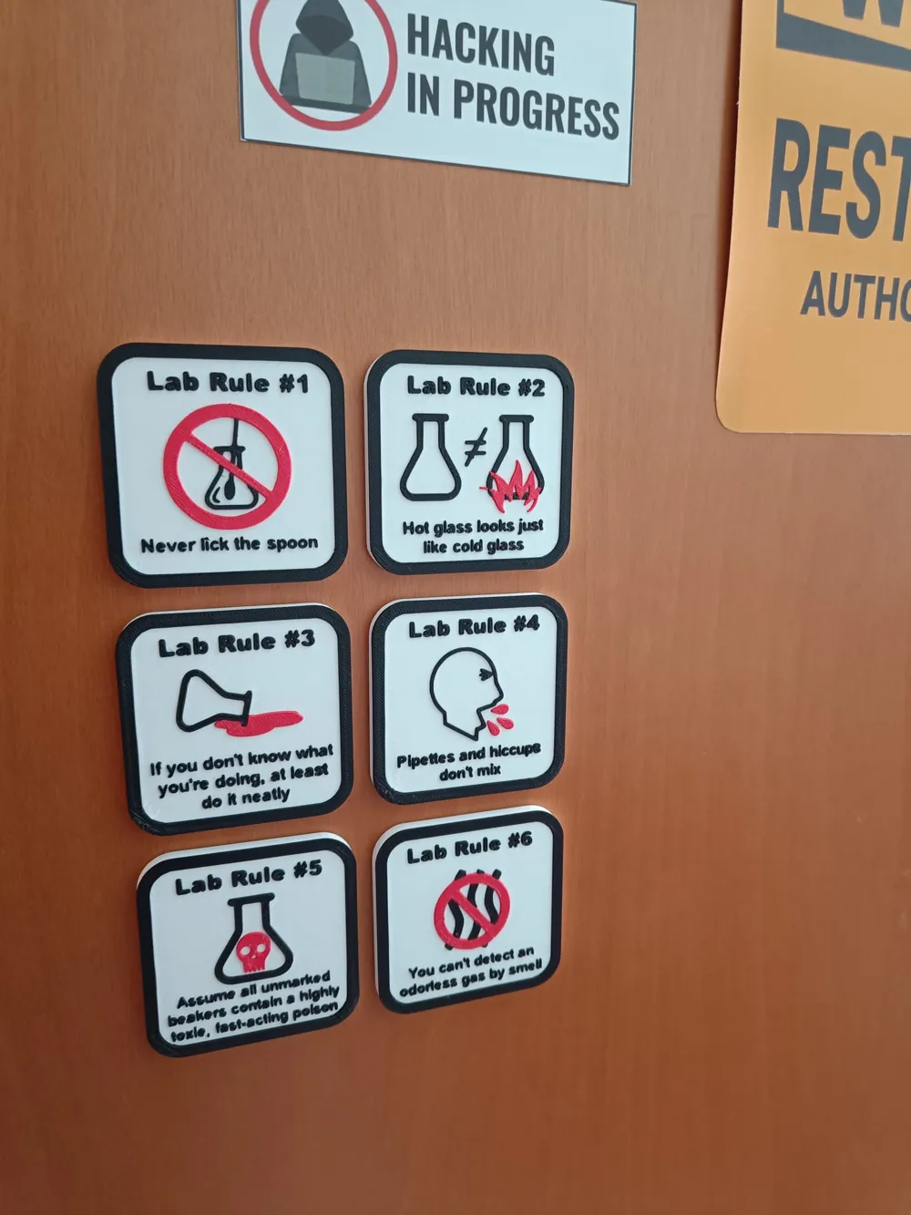 The 6 Golden Lab Rules by Piuppi MakerWorld: Download Free 3D Models