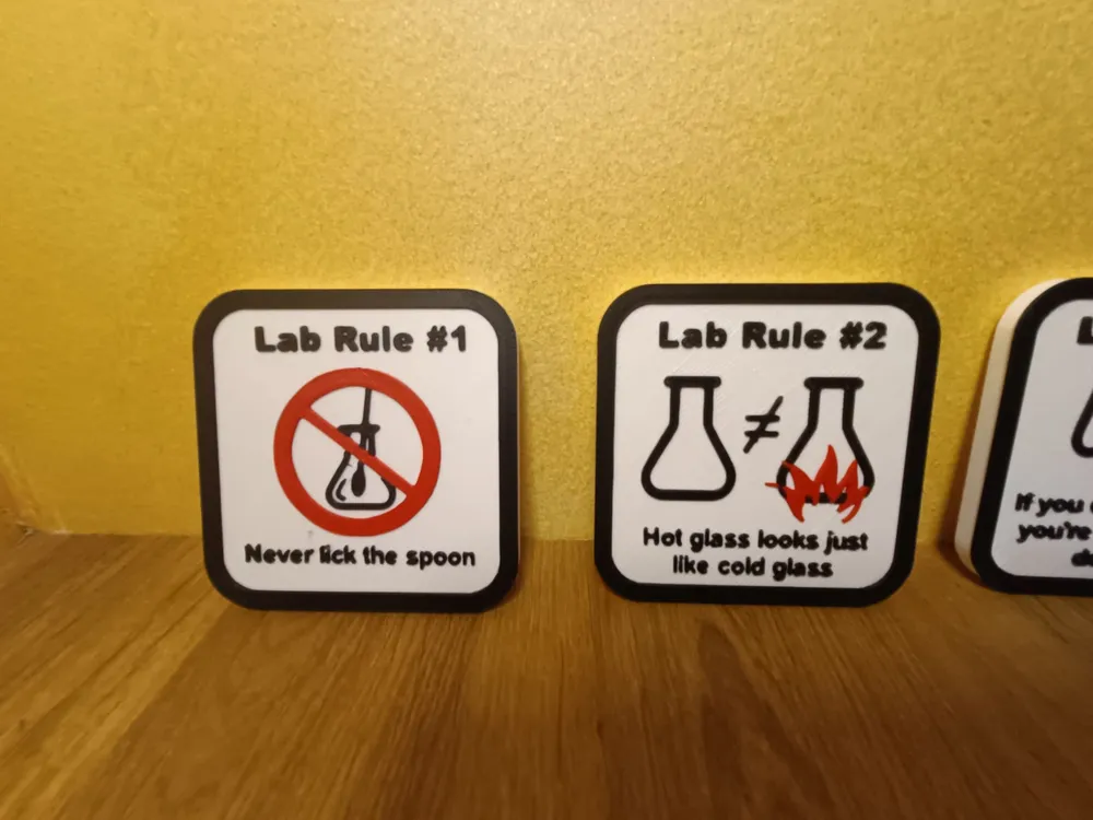 The 6 Golden Lab Rules by Piuppi MakerWorld: Download Free 3D Models