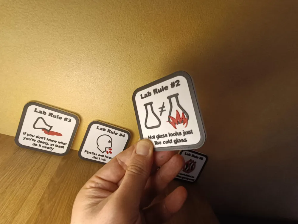 The 6 Golden Lab Rules by Piuppi MakerWorld: Download Free 3D Models