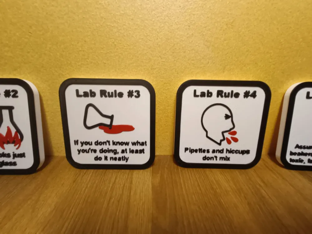 The 6 Golden Lab Rules - Free 3D Print Model - MakerWorld