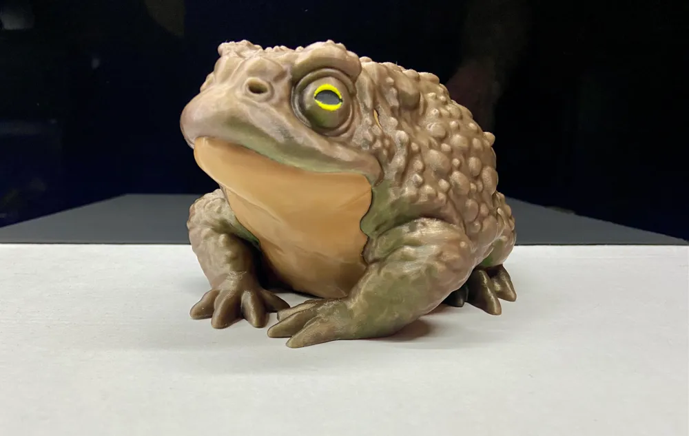 Garden Toad by Qjeezy MakerWorld: Download Free 3D Models