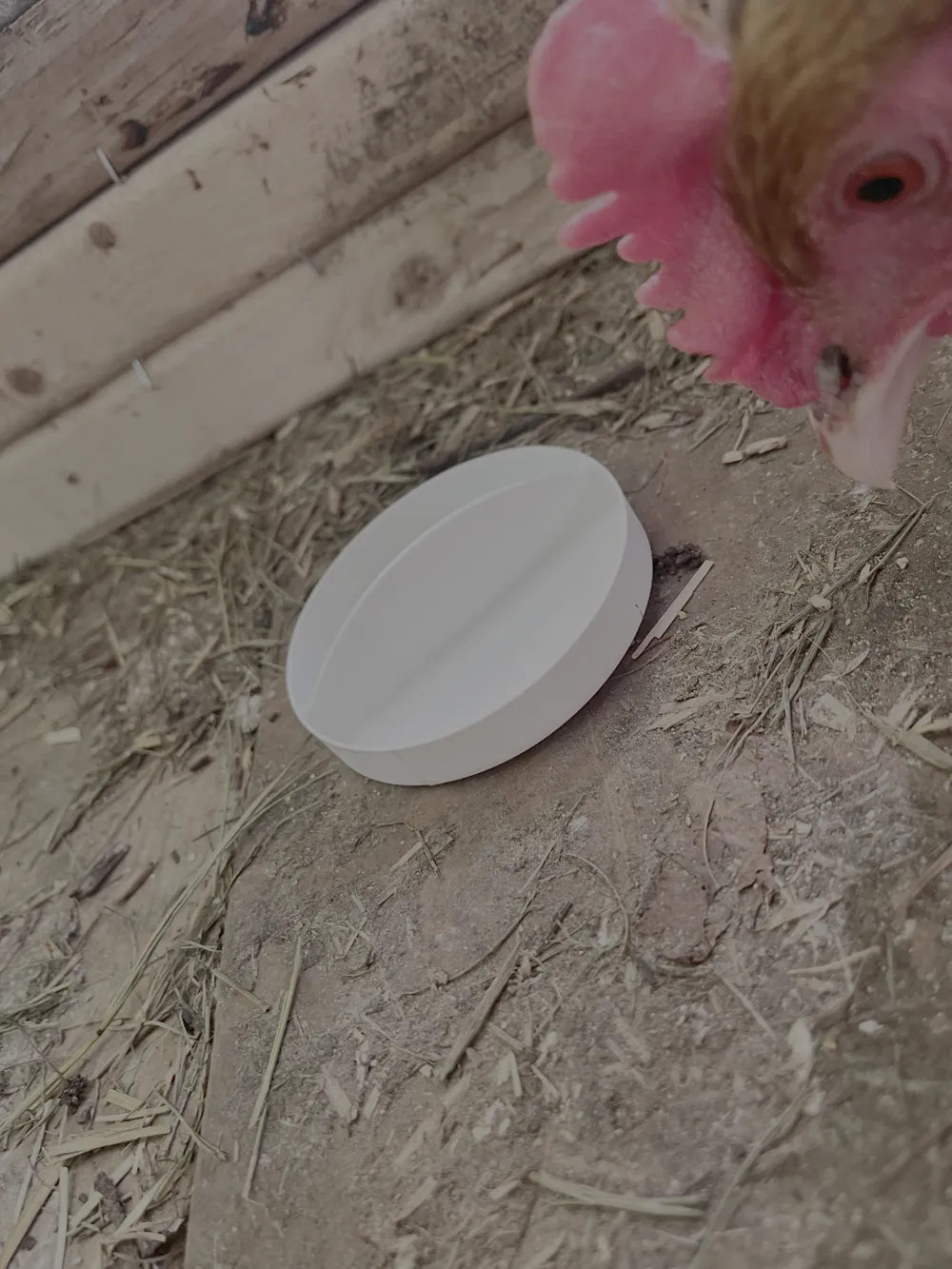 chicken feeder lid/cap - Free 3D Print Model - MakerWorld