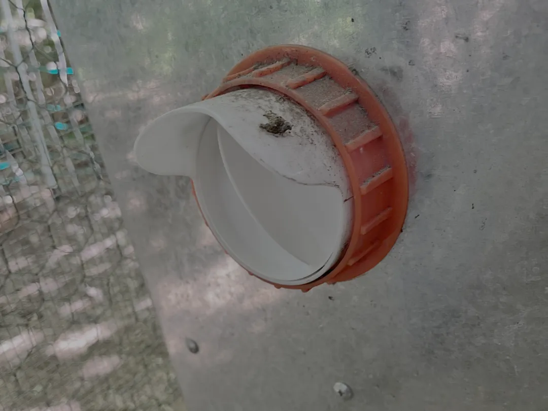 chicken feeder lid/cap - Free 3D Print Model - MakerWorld