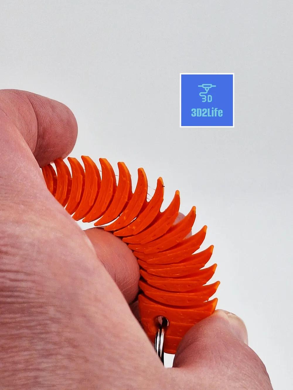 TPU Flexi Fish - keychain by 3D2Life MakerWorld: Download Free 3D Models