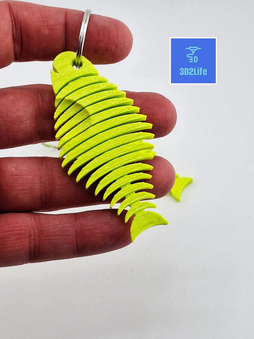 TPU Flexi Fish - keychain by 3D2Life MakerWorld: Download Free 3D Models
