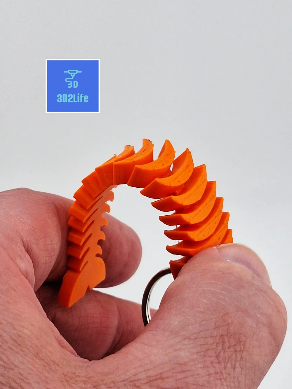 TPU Flexi Fish - keychain by 3D2Life MakerWorld: Download Free 3D Models