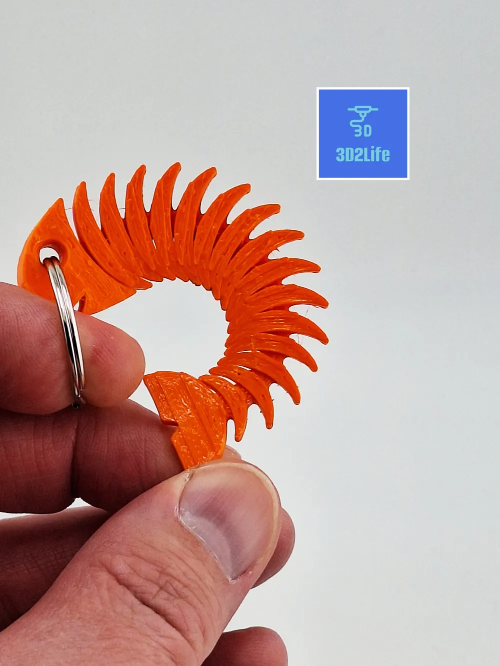 TPU Flexi Fish - keychain by 3D2Life MakerWorld: Download Free 3D Models