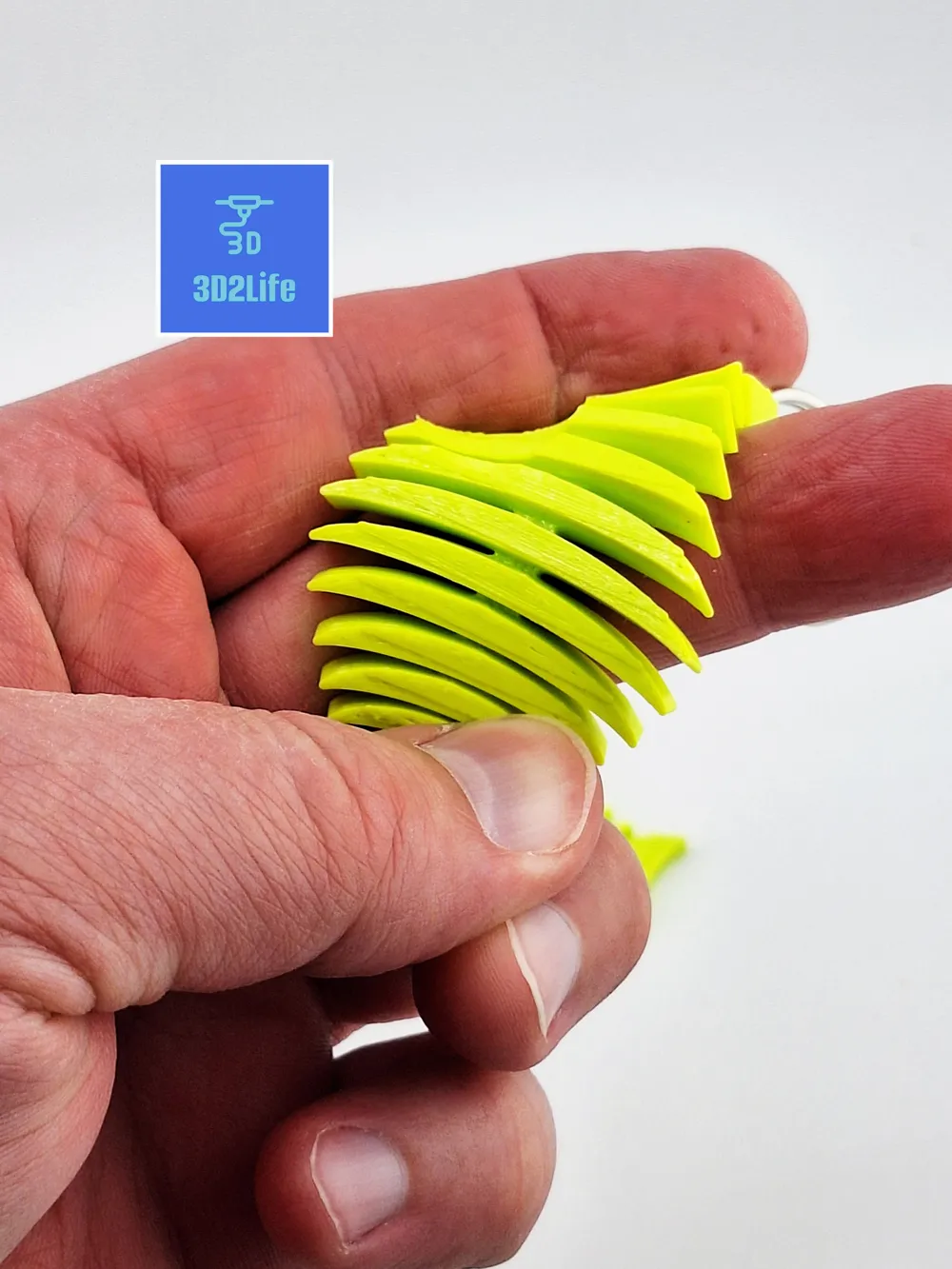 TPU Flexi Fish - keychain by 3D2Life MakerWorld: Download Free 3D Models
