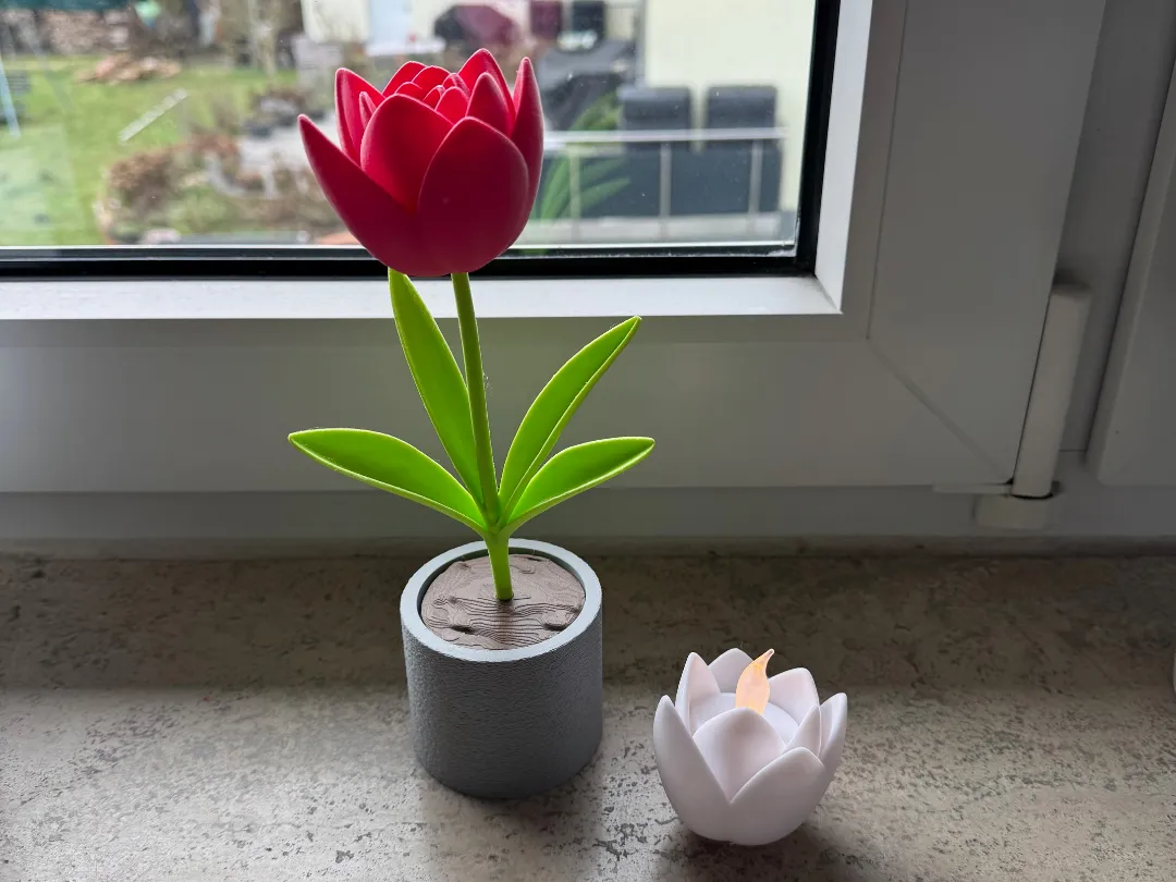 Modulare Deko-Tulpe: Mix & Match (No AMS needed!) - Free 3D Print Model ...