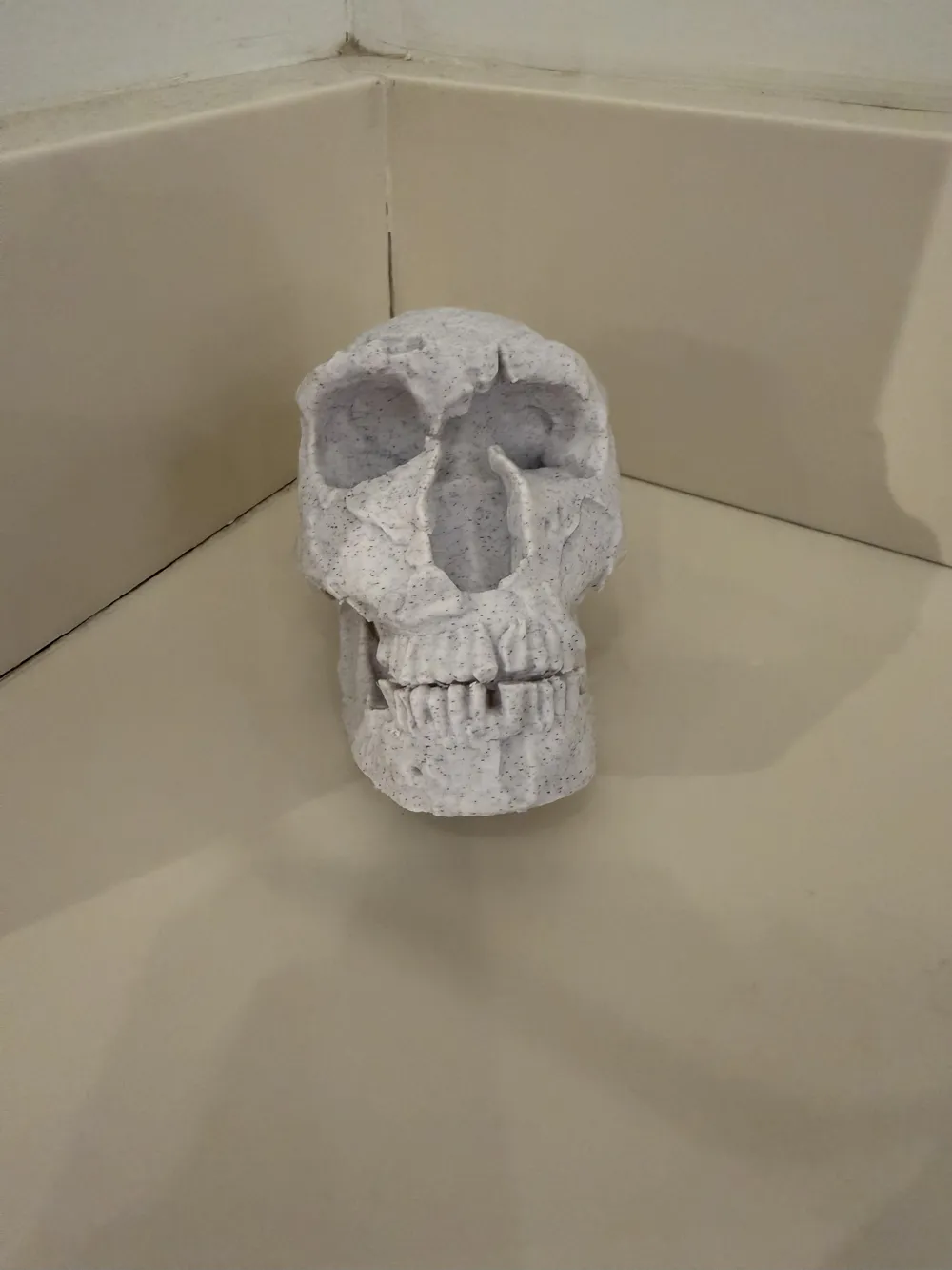 Neanderthal skull - Free 3D Print Model - MakerWorld