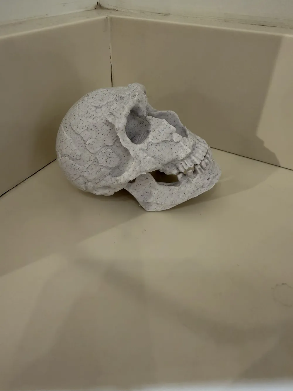 Neanderthal skull - Free 3D Print Model - MakerWorld