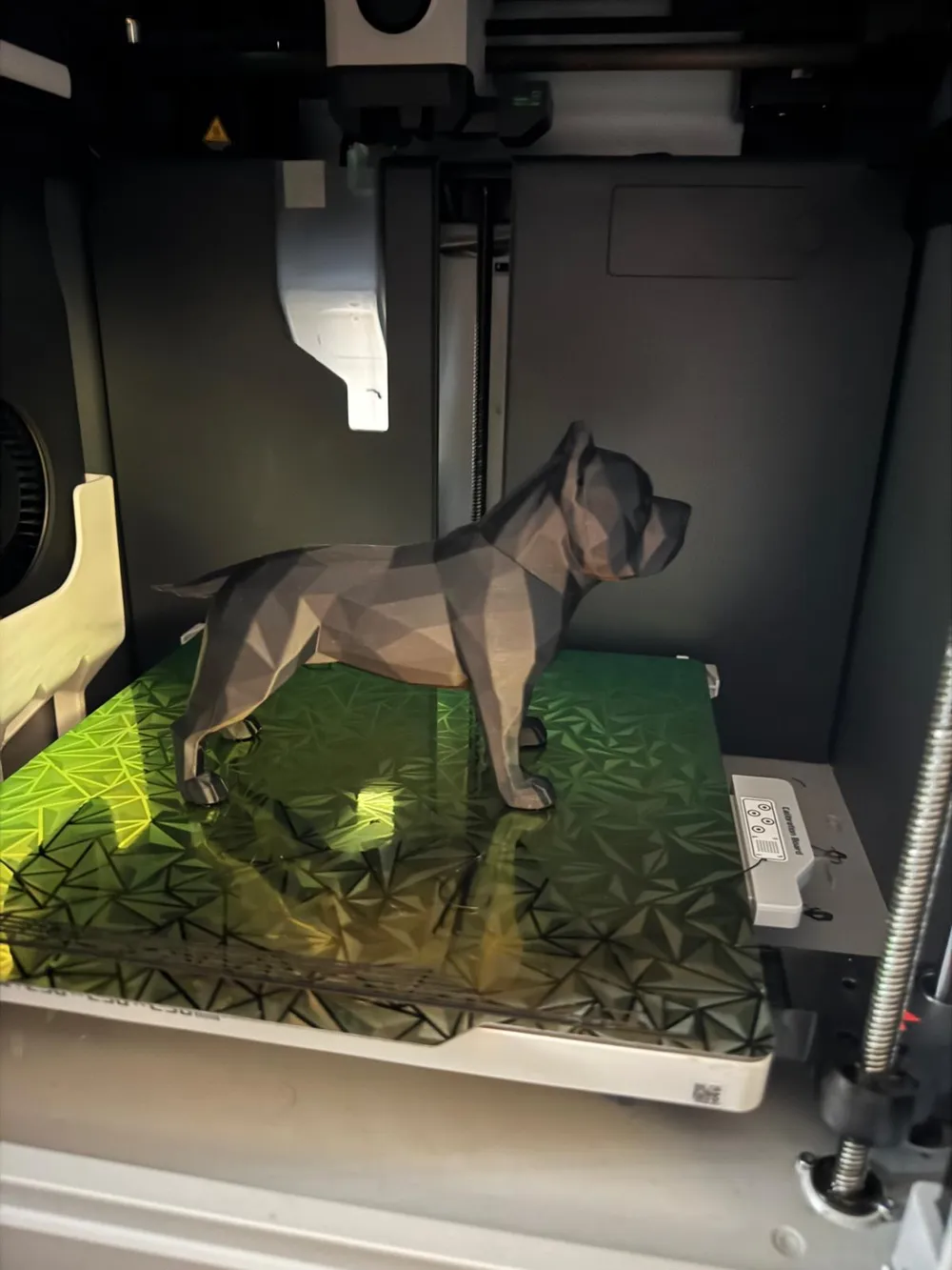 american bully low poly - Free 3D Print Model - MakerWorld