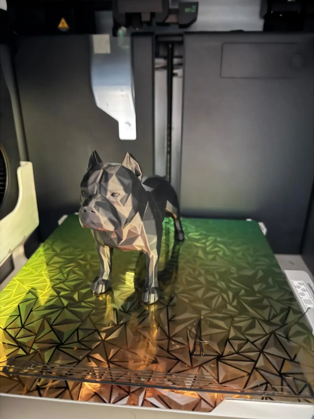 american bully low poly - Free 3D Print Model - MakerWorld