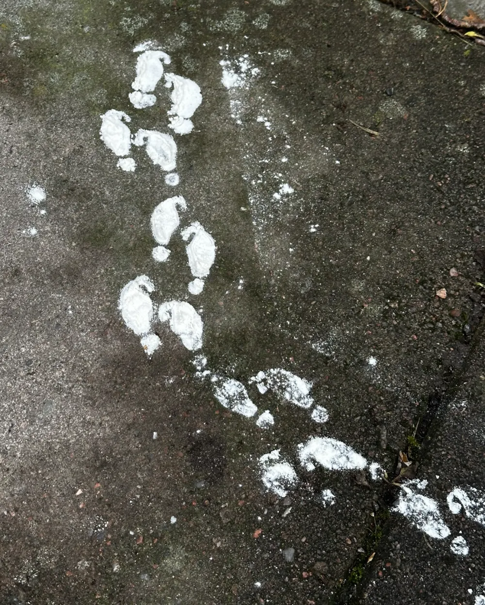 Santa’s Magical Footprint Kit - Free 3D Print Model - MakerWorld