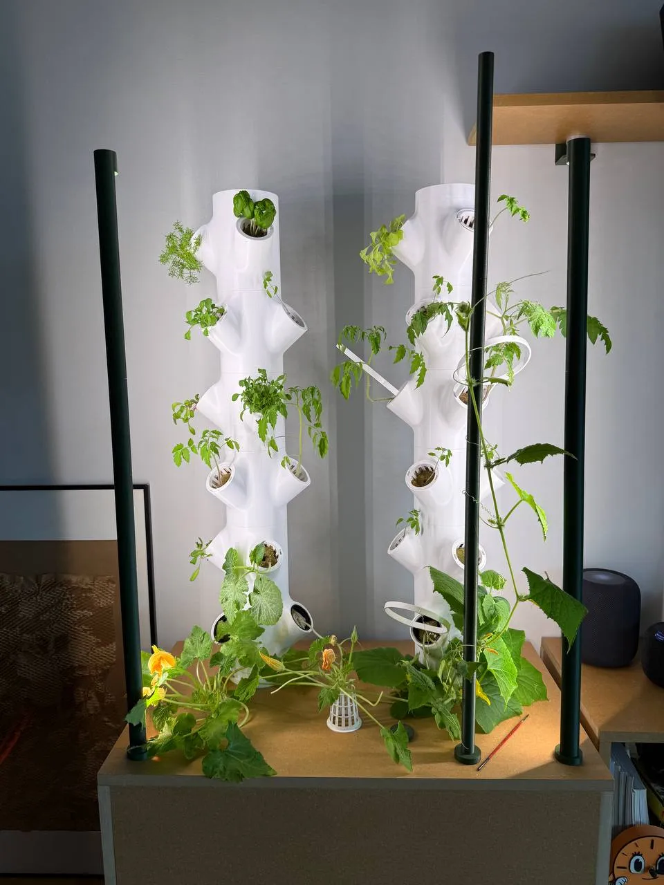 smart modular hydroponic tower by Pascal MakerWorld: Download Free 3D ...