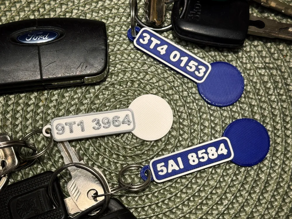 Number Plate Keychain - Cart Coin by 3DVPrint MakerWorld: Download Free ...