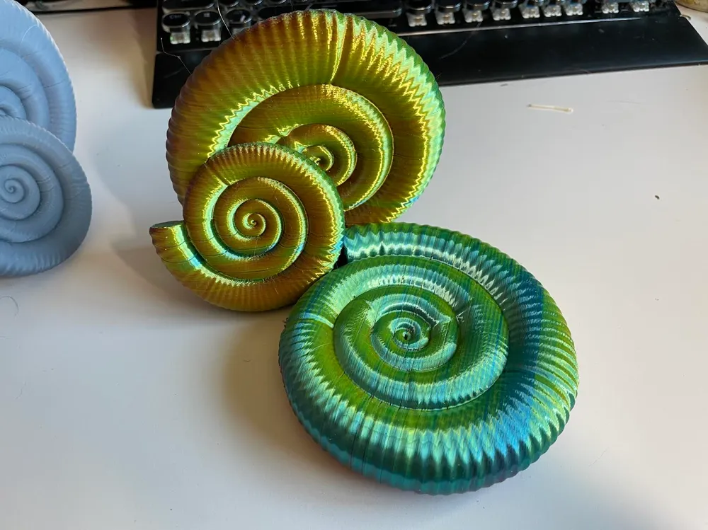 Ammonites by Auntie Fa - MakerWorld