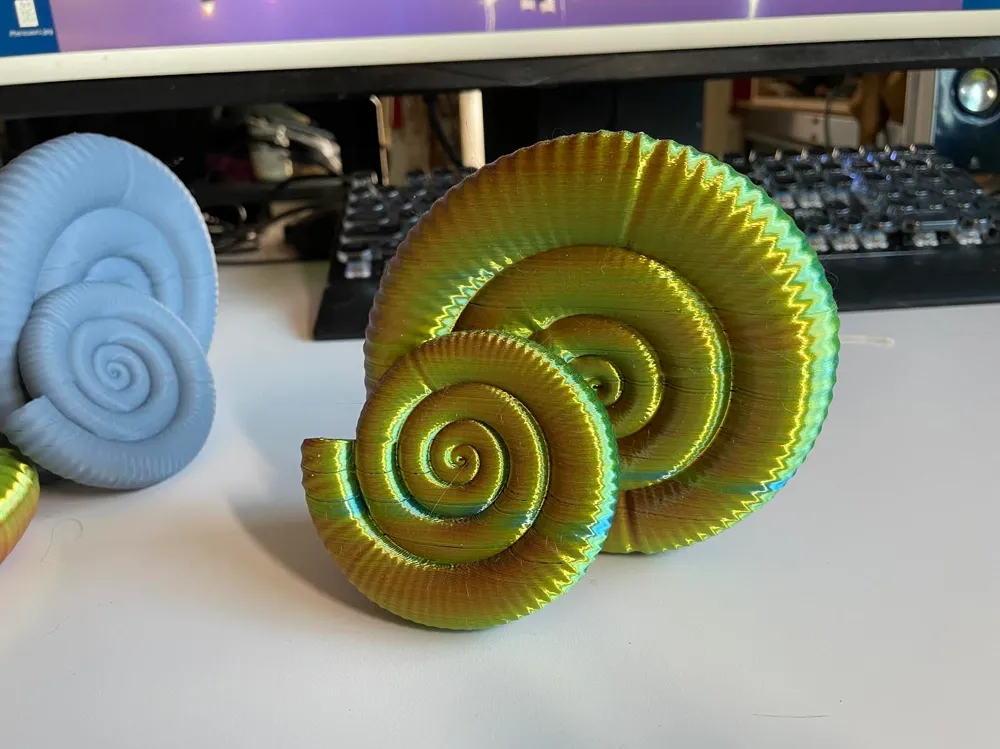 Ammonites by Auntie Fa - MakerWorld