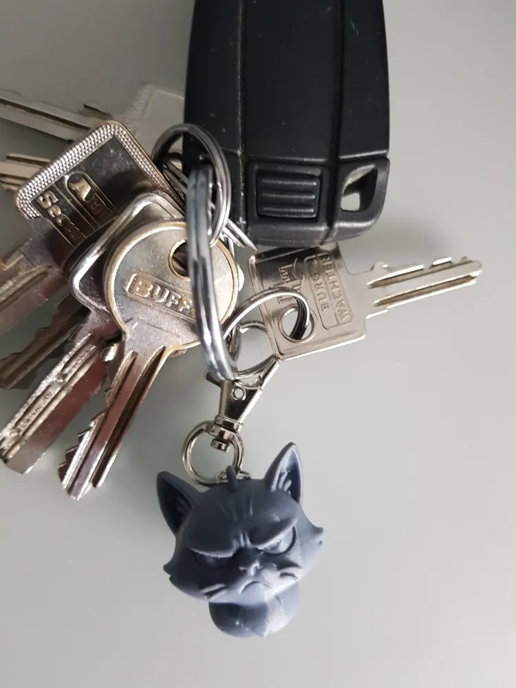 Porte-clés Chat Bougon – Grumpy Cat Keychain - Modèle d'Impression 3D ...