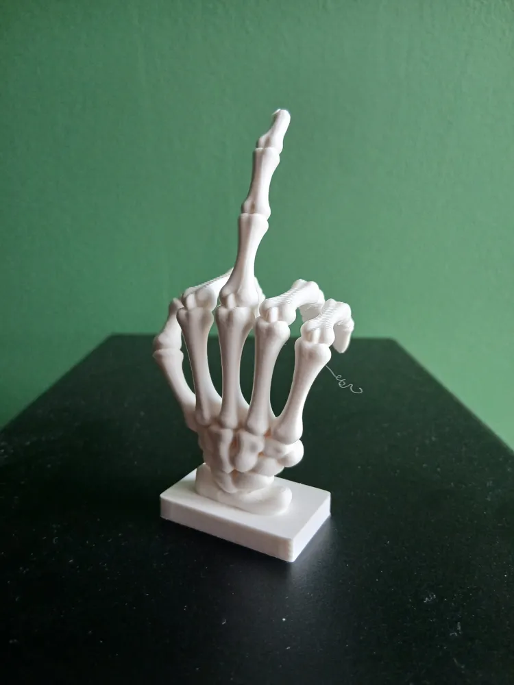Skeleton Middle FInger - Free 3D Print Model - MakerWorld
