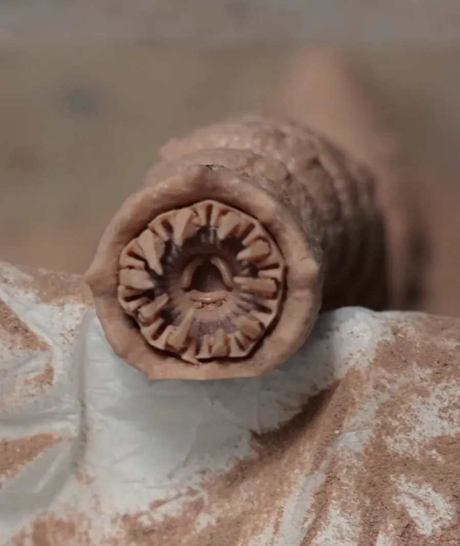 Dune Flexi Sandworm. Print in Place. Support Free. by RB_DESIGNS ...