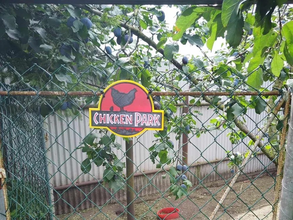 Chicken Park by AVGCZ2 - MakerWorld