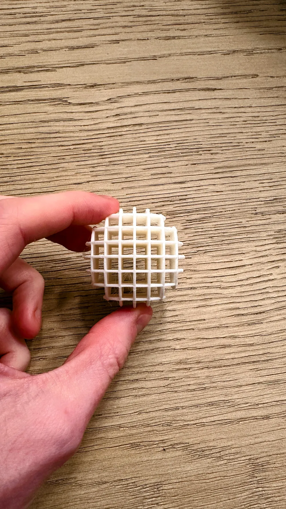 Sensoric Mesh Ball Sphere - Free 3D Print Model - MakerWorld
