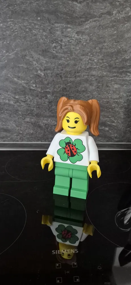 Brick Man/Woman with Ladybug and Clover 20cm - Free 3D Print Model ...