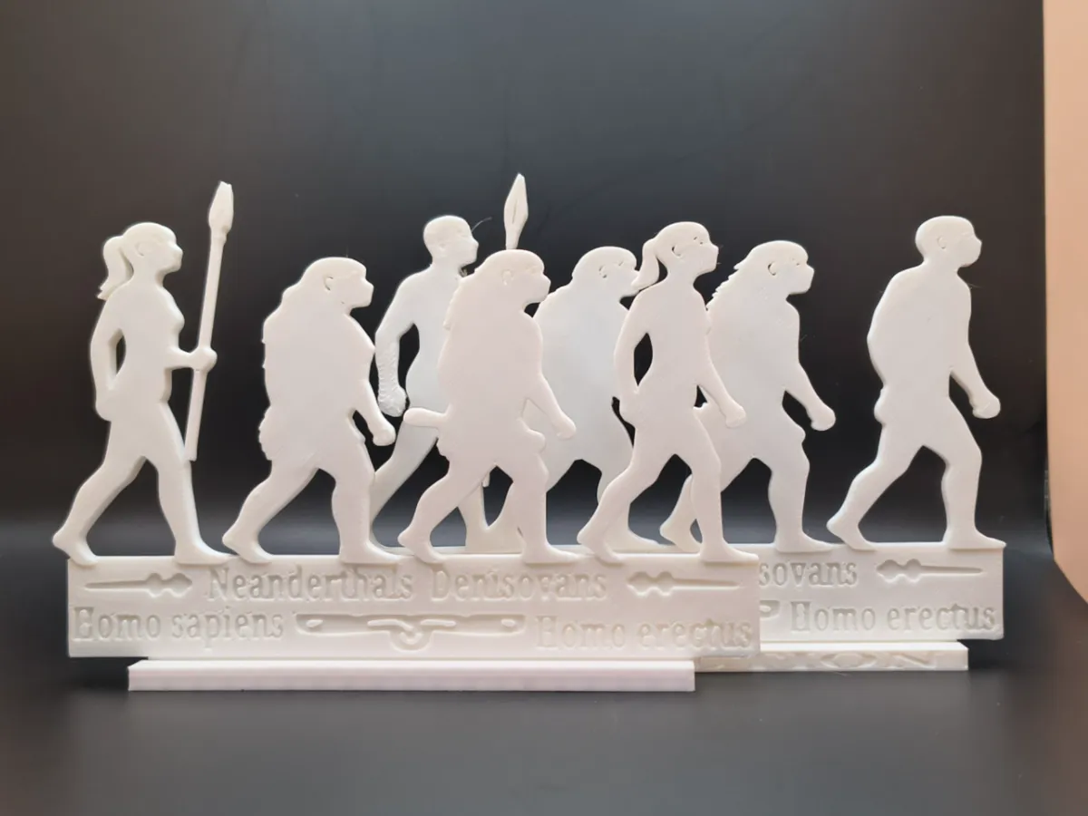 Human Evolution Silhouettes – Male & Female - Free 3D Print Model ...