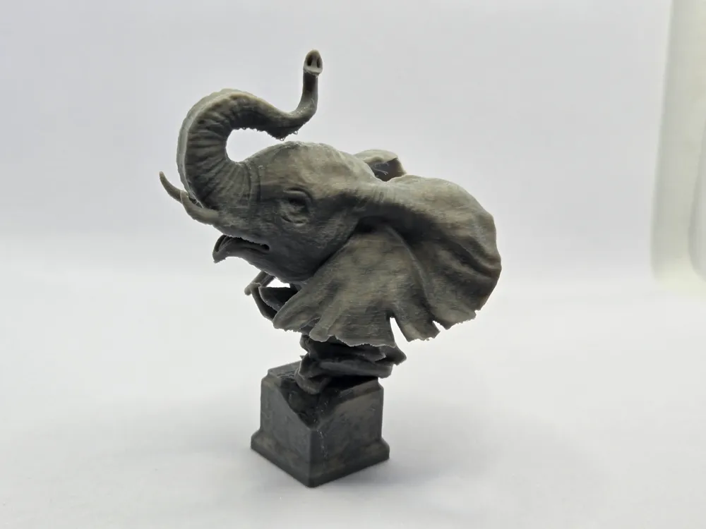 Detailed African Elephant Bust by modybird - MakerWorld