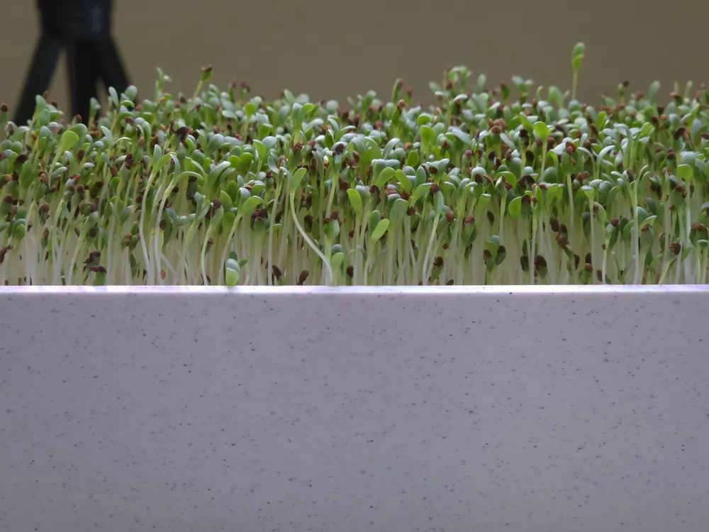 Smart Sprouts/Green Indoor Growing System - Free 3D Print Model ...