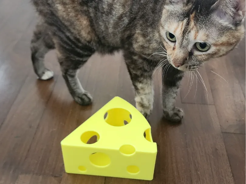 The Big Cheese - Cat Treat Toy by marcusmxk - MakerWorld