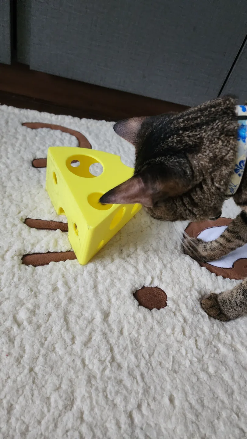 The Big Cheese - Cat Treat Toy by marcusmxk - MakerWorld
