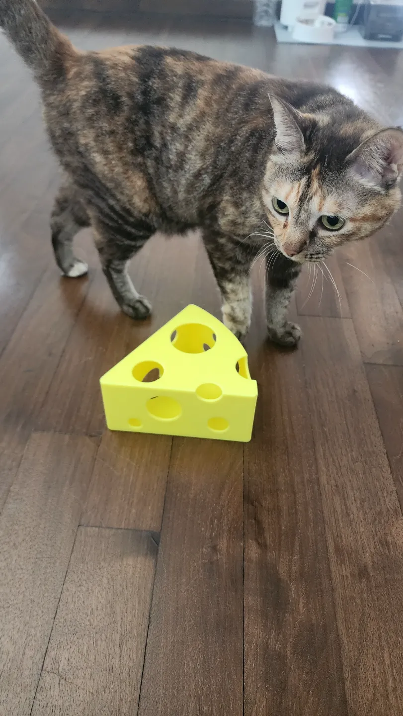 The Big Cheese - Cat Treat Toy by marcusmxk - MakerWorld