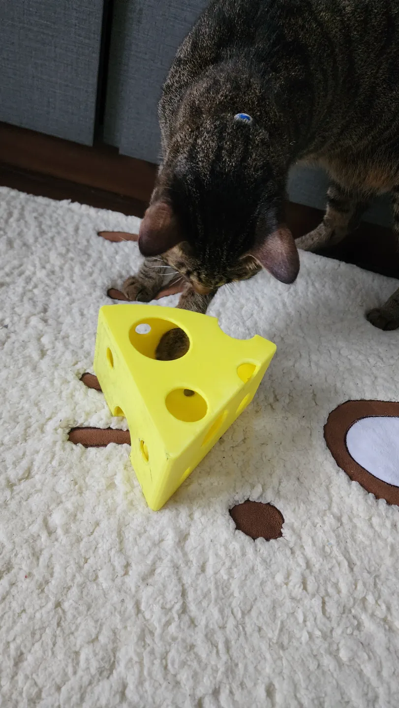 The Big Cheese - Cat Treat Toy by marcusmxk - MakerWorld