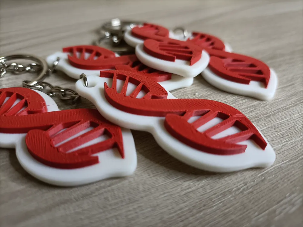 DNA Keychain by MC project - MakerWorld