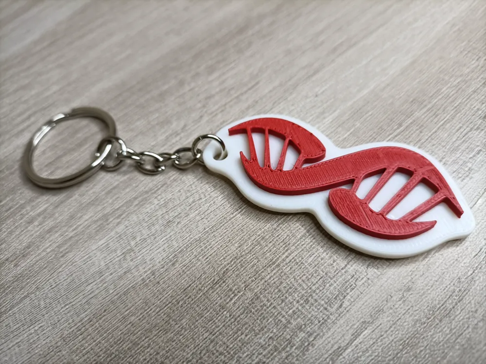 DNA Keychain by MC project - MakerWorld