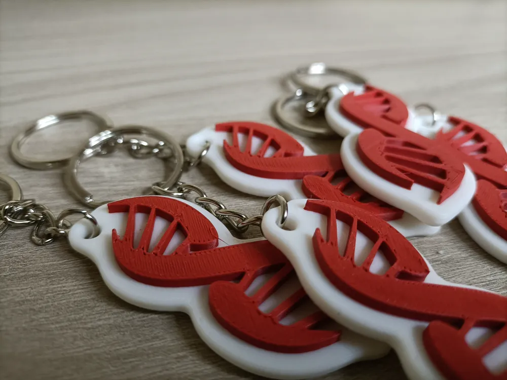 DNA Keychain by MC project - MakerWorld