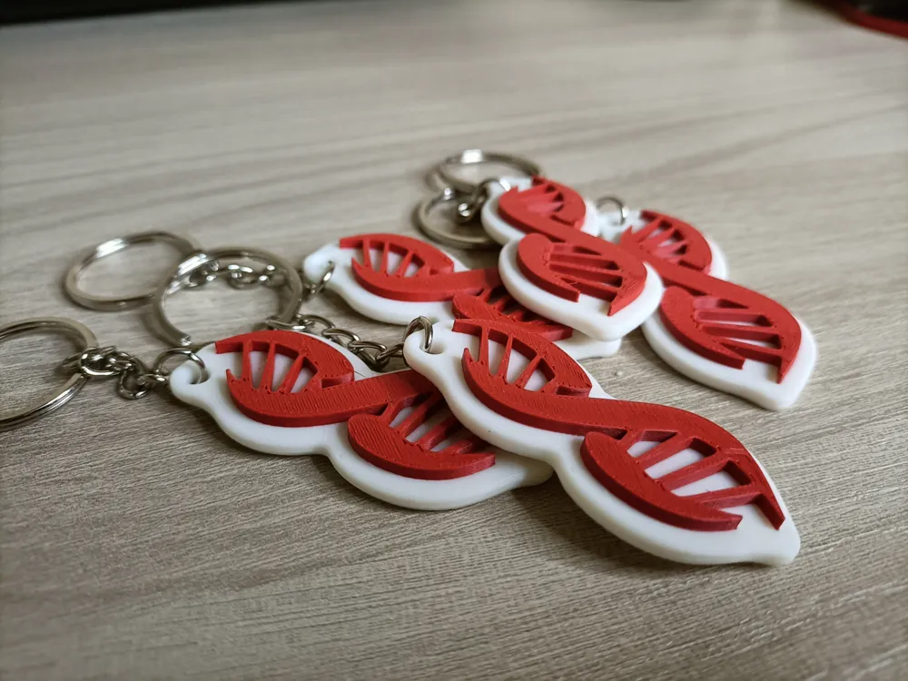 DNA Keychain by MC project - MakerWorld