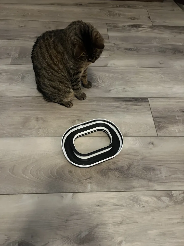 Infinity Ball Loop - Cat Toy - Free 3D Print Model - MakerWorld
