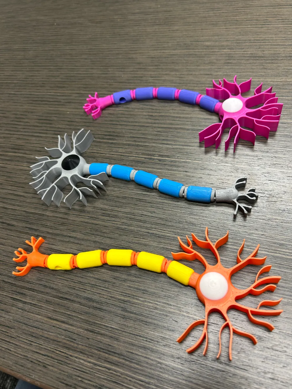 Articulated Neuron - My Last Nerve Desk Model by HumbleBee - MakerWorld