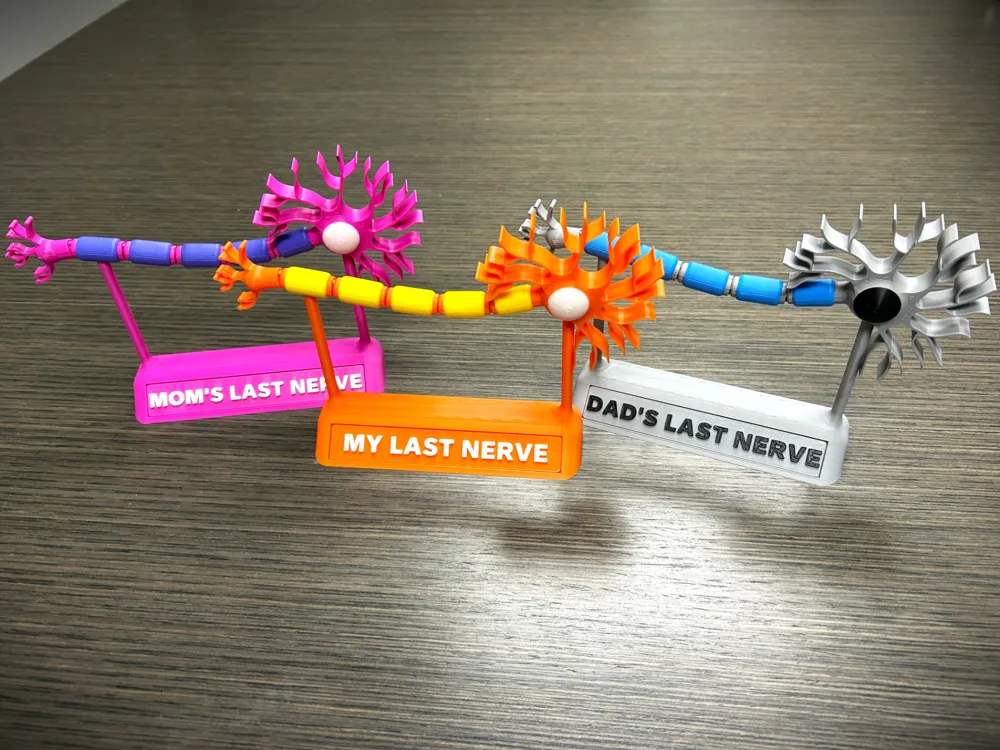 Articulated Neuron - My Last Nerve Desk Model by HumbleBee MakerWorld ...