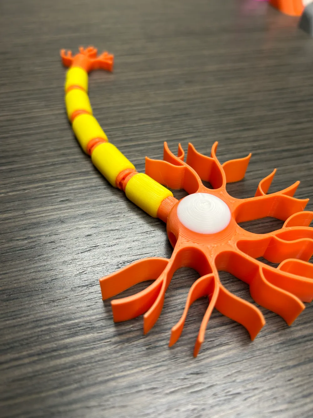 Articulated Neuron - My Last Nerve Desk Model by HumbleBee MakerWorld ...