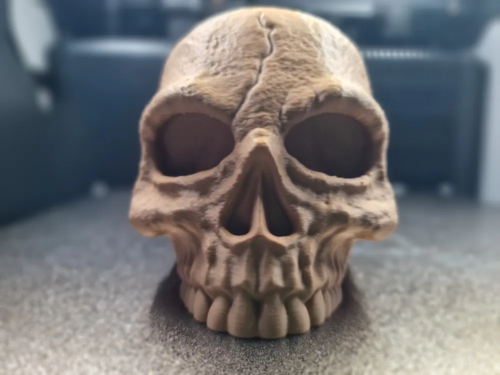 Skull Hide Vivarium Decor - Free 3D Print Model - MakerWorld