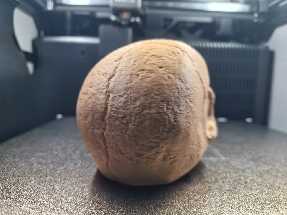 Skull Hide Vivarium Decor - Free 3D Print Model - MakerWorld